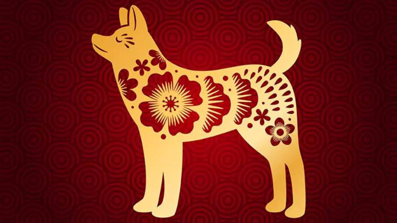 What does the dog mean in chinese zodiac - Horoscopeaz.com