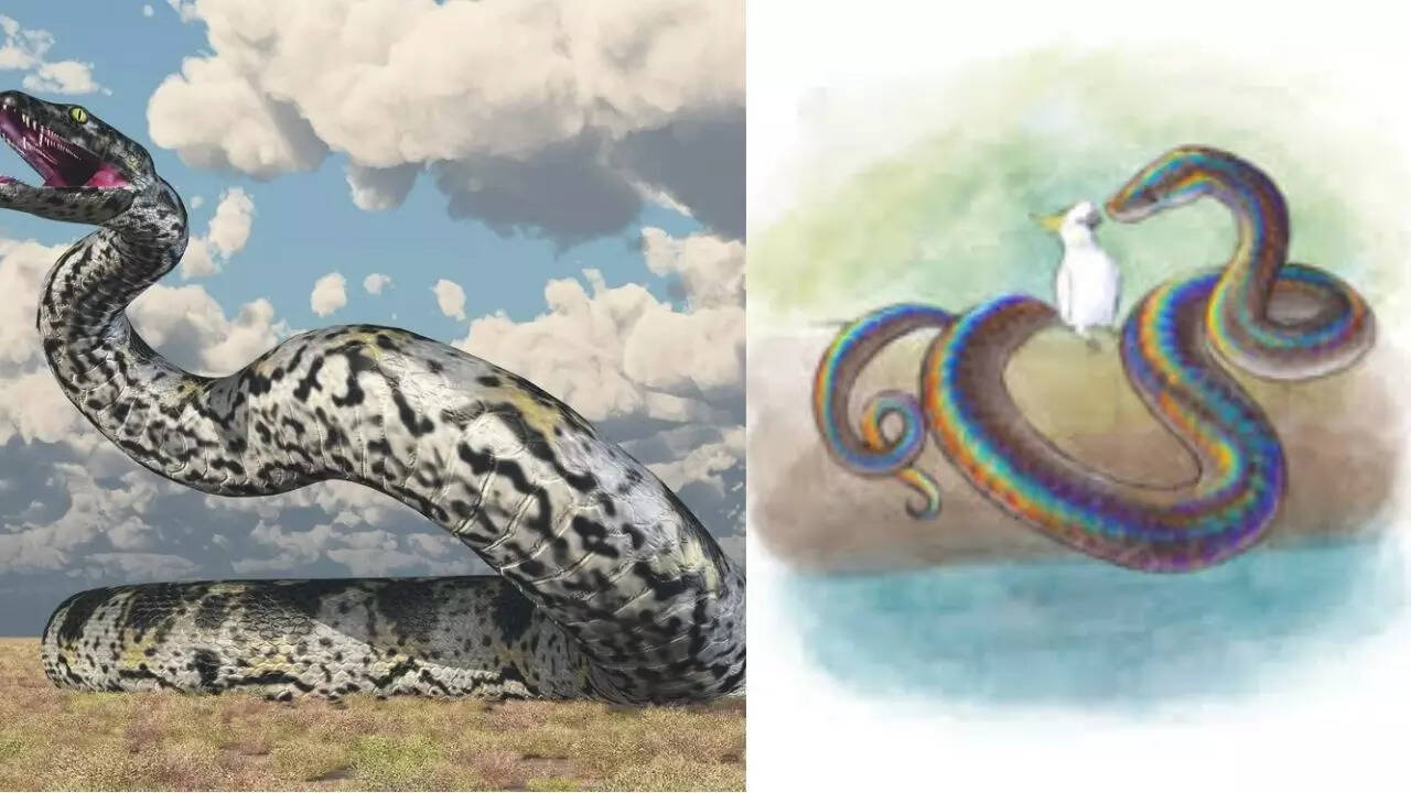 Prehistoric Titanoboa