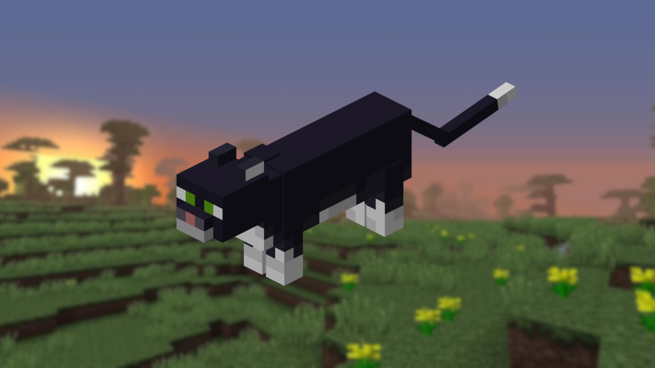 Black Cat Minecraft
