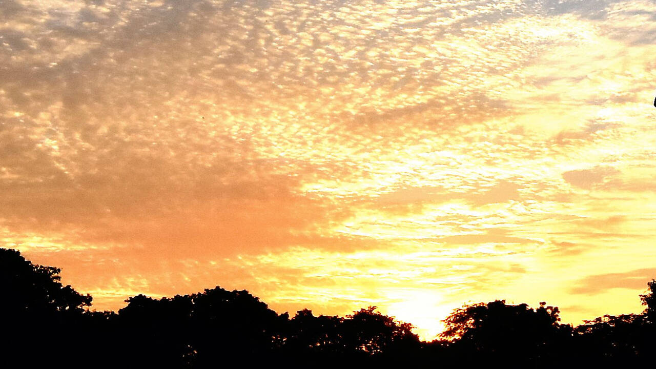 Sudden Temperature Drop In Pune, High Humidity Perfect, 52% OFF