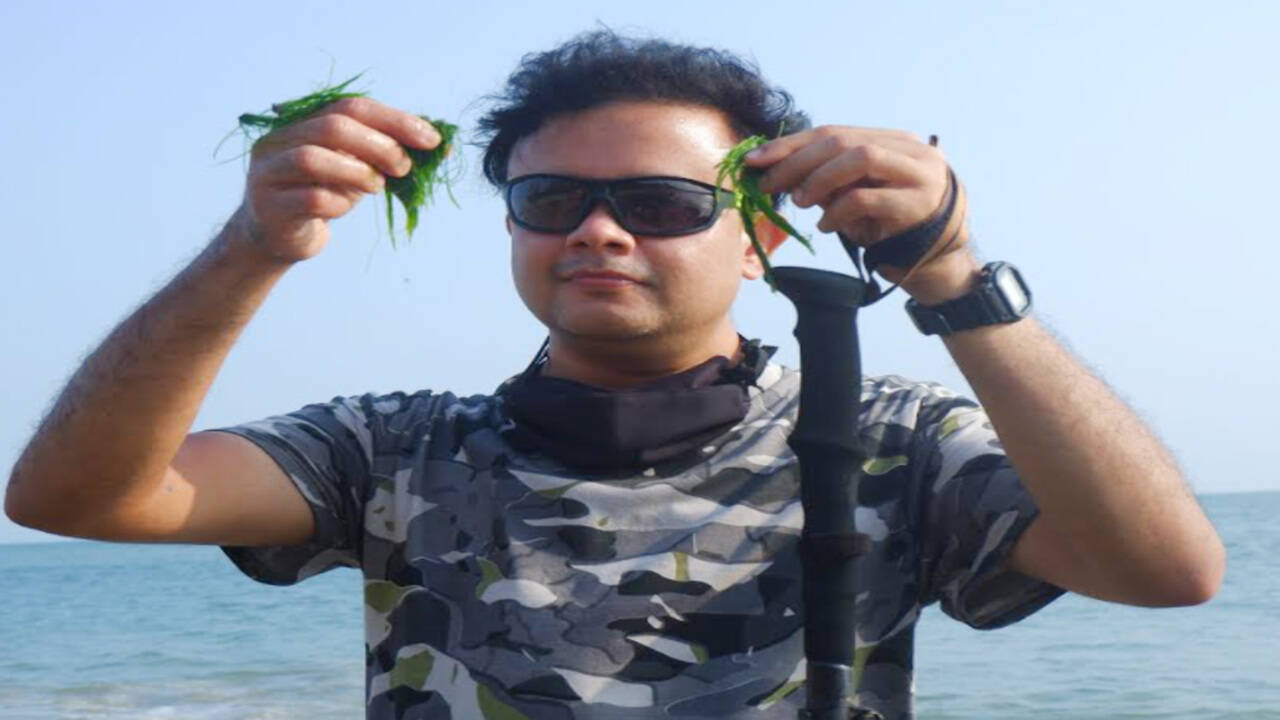 Red Seaweed New Seaweed Species Discovered Along Karachi Coast