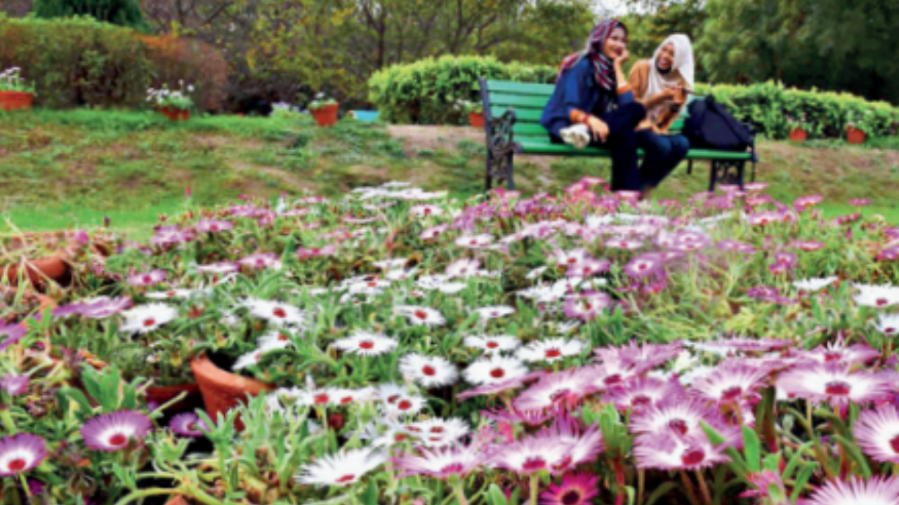 Botanical Garden Noida Timings | Fasci Garden