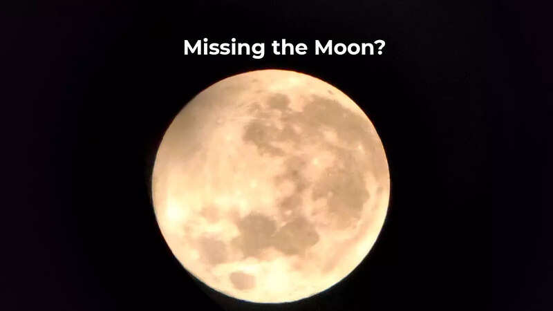 Missing the Moon? | India News - Times of India