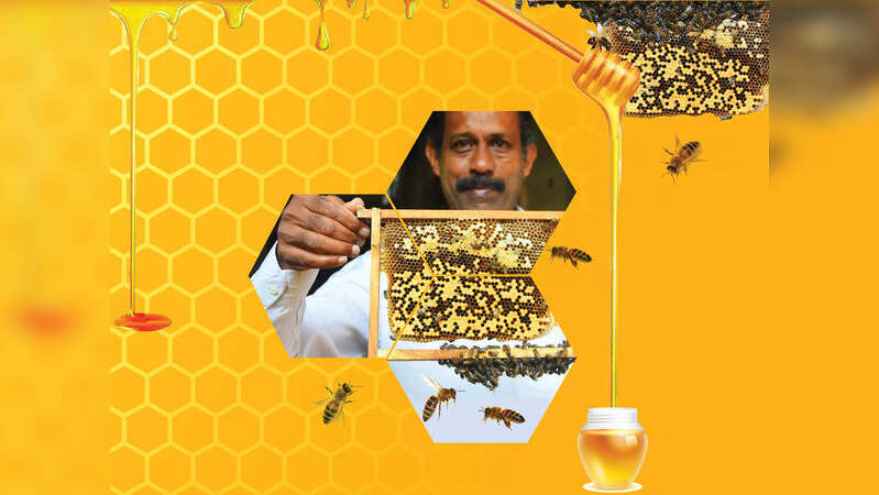 Honey Production: Why Goan farmers are making a bee-line for honey ...