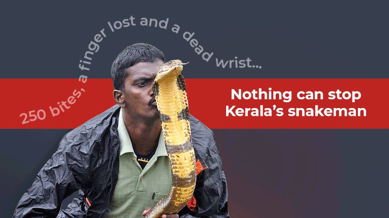 Back from a near-death again, nothing can stop Kerala’s snakeman ...