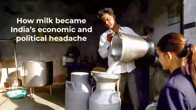 Can milk become a new political headache for government? | India News ...