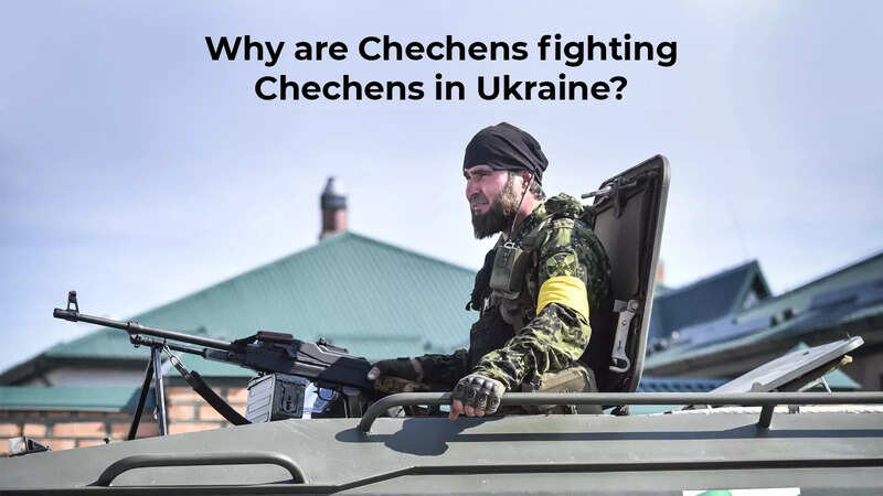 Why are Chechens fighting for both Ukraine and Russia? | India News ...