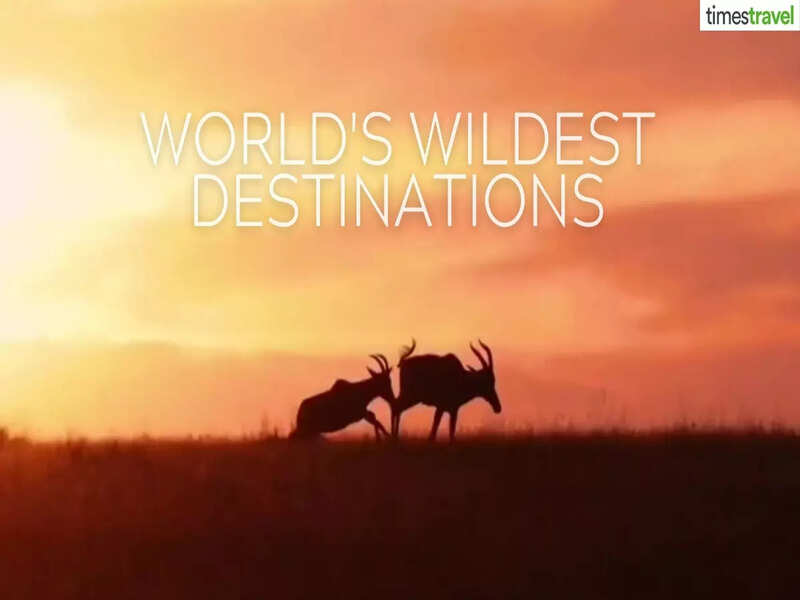 World's wildest destinations!