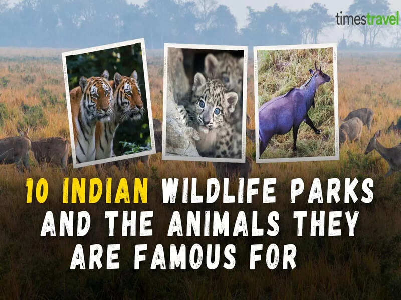 10 Indian wildlife parks and the animals they are famous for