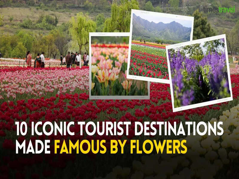 10 iconic tourist destinations made famous by flowers