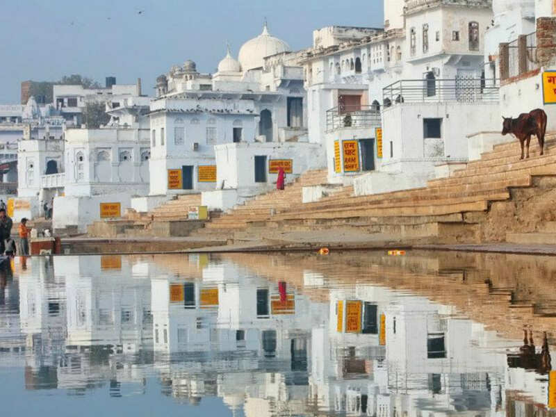 Nathdwara: Get the Detail of Nathdwara on Times of India Travel