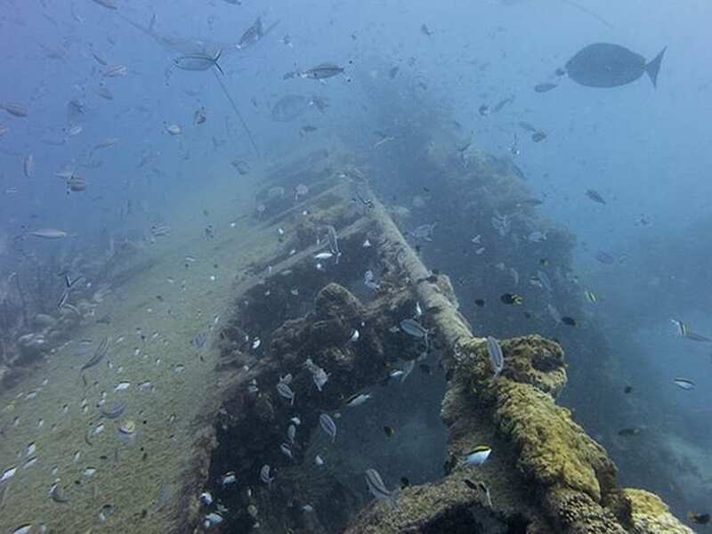 SS Yongala in Australia | Times of India Travel