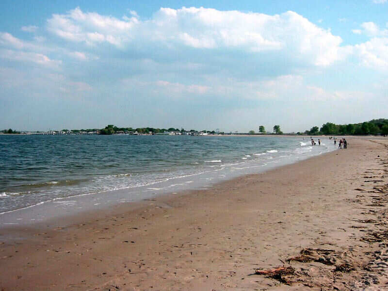 Orchard Beach for Seal Watching - Bronx: Get the Detail of Orchard ...