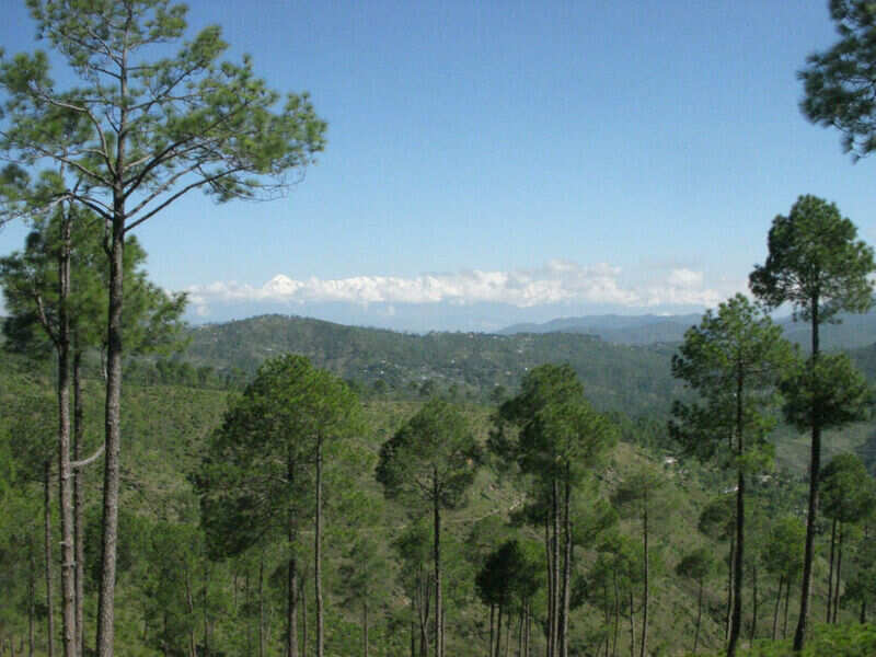 Almora: Get the Detail of Almora on Times of India Travel