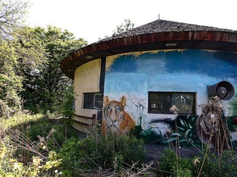 Detroit’s Abandoned Zoo: Get the Detail of Detroit’s Abandoned Zoo on ...