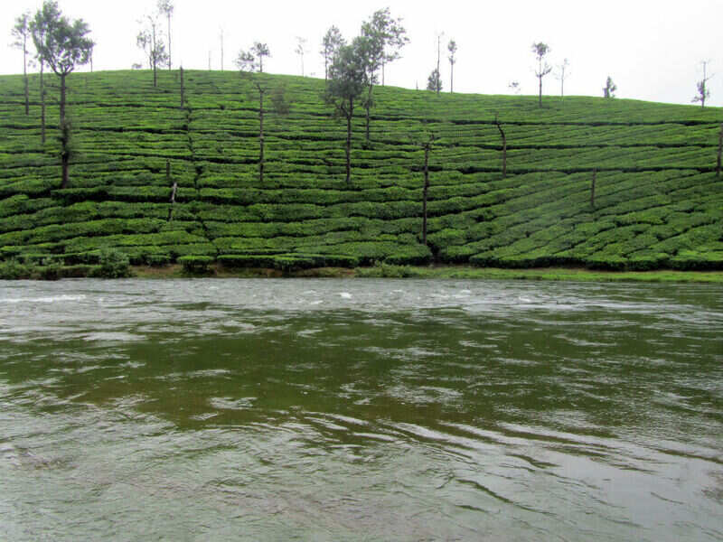 Valparai - Pollachi: Get the Detail of Valparai on Times of India Travel