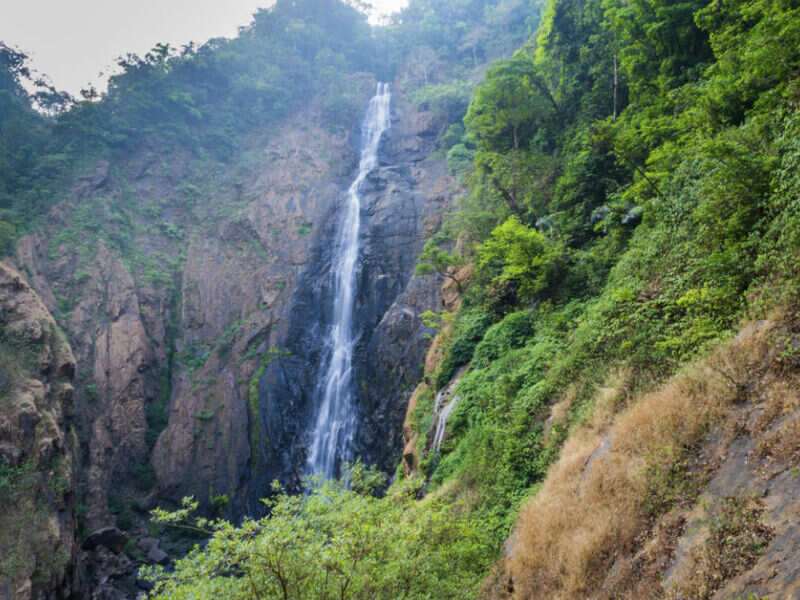 Dabbe Falls - Karnataka: Get the Detail of Dabbe Falls on Times of ...
