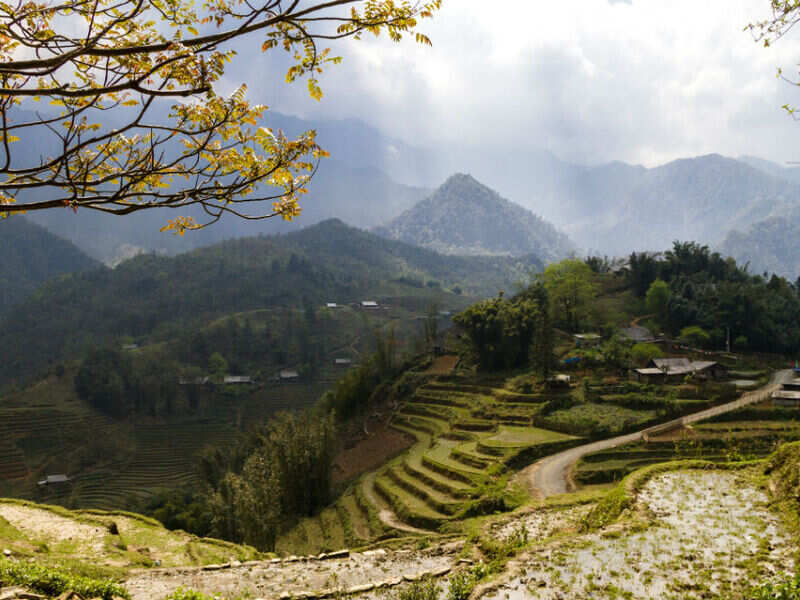 Dragon Mountain - Vietnam: Get the Detail of Dragon Mountain on Times ...