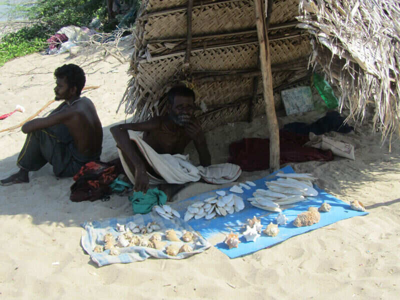 Visit a sea shell mart in Rameswaram | Times of India Travel