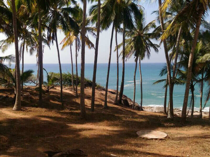 Ezhimala Beach - Kerala: Get the Detail of Ezhimala Beach on Times of ...