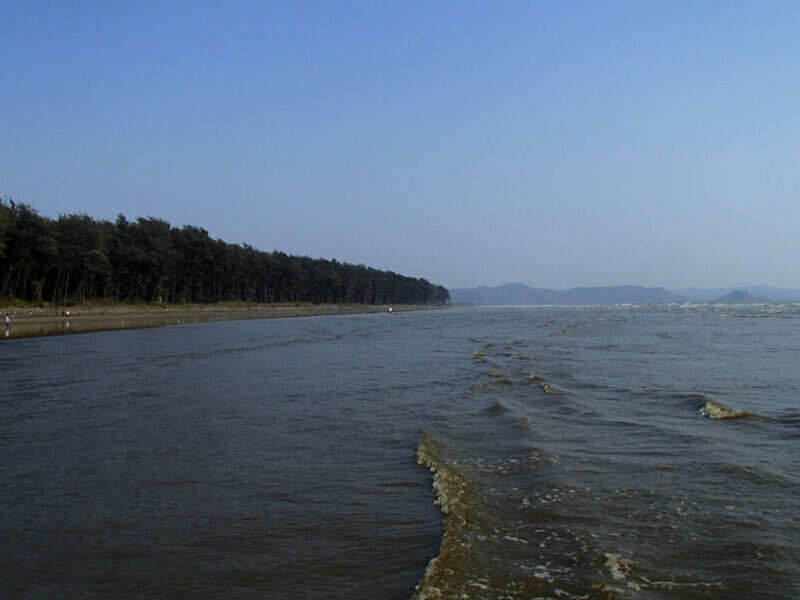 Nagaon Beach - Alibag: Get the Detail of Nagaon Beach on Times of India ...