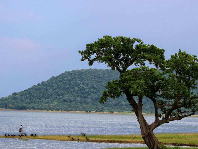 Pakhal Lake - Warangal: Get the Detail of Pakhal Lake on Times of India ...