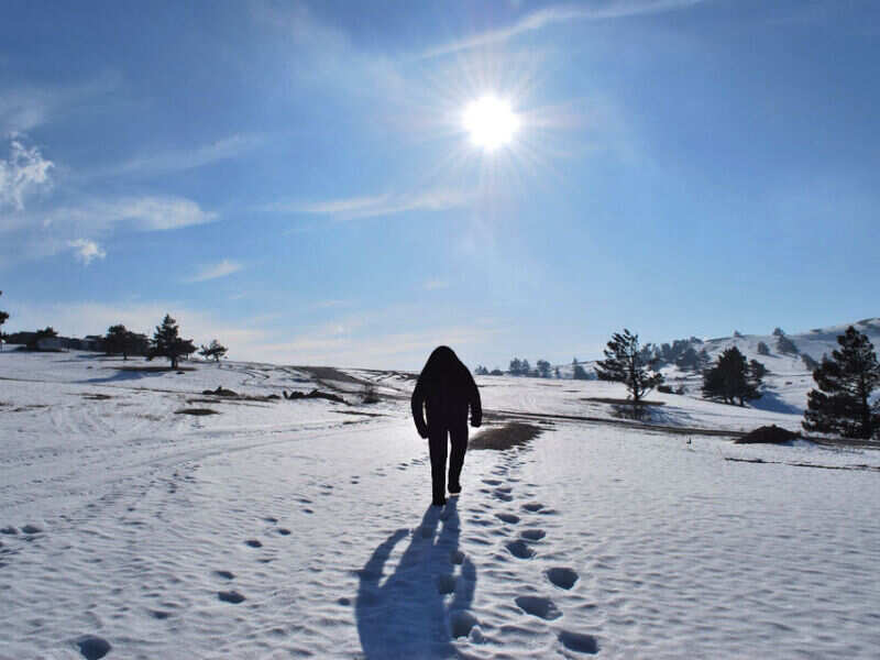 Are Yetis Real Yeti Sightings Times Of India Travel